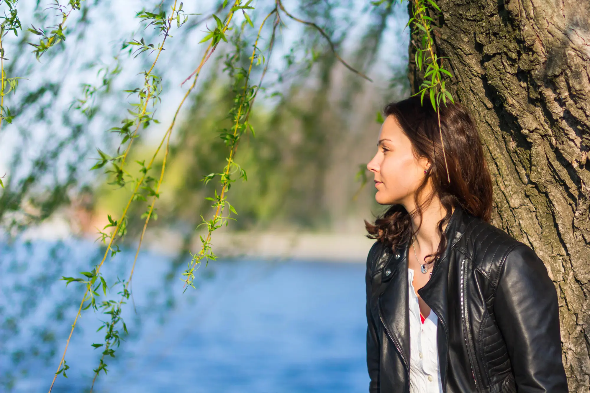 Reflection: The Path To Empowerment - Telfer Family Law & Mediation